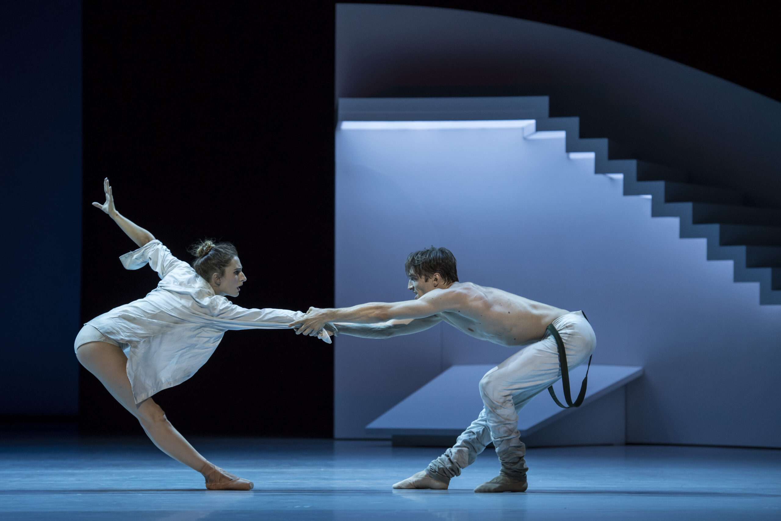 Die andere „Zähmung“ – Dance for You Magazine